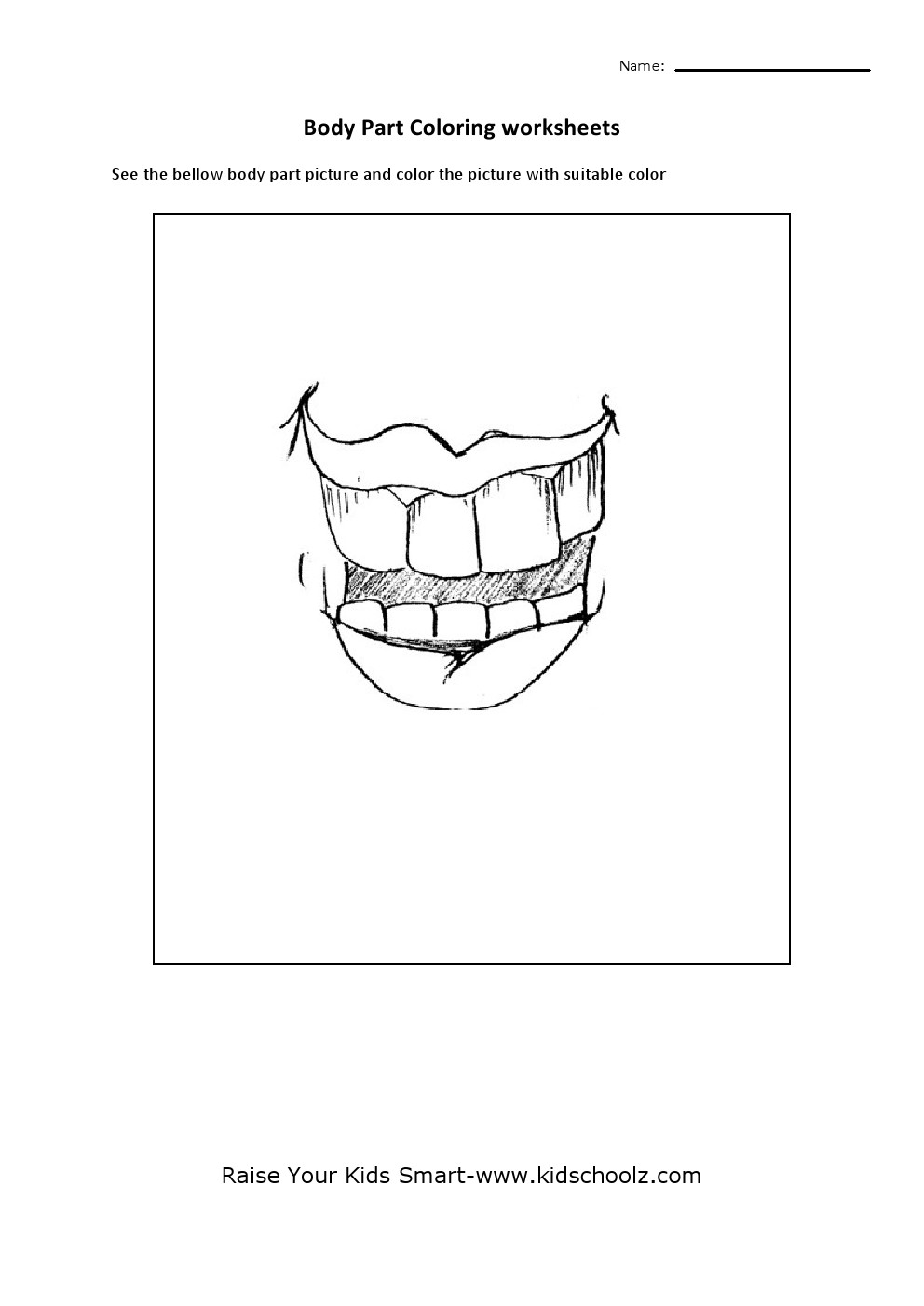 Tooth Parts Coloring Pages