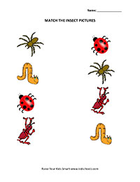 Picture Matching Worksheets - Insects - Kidschoolz