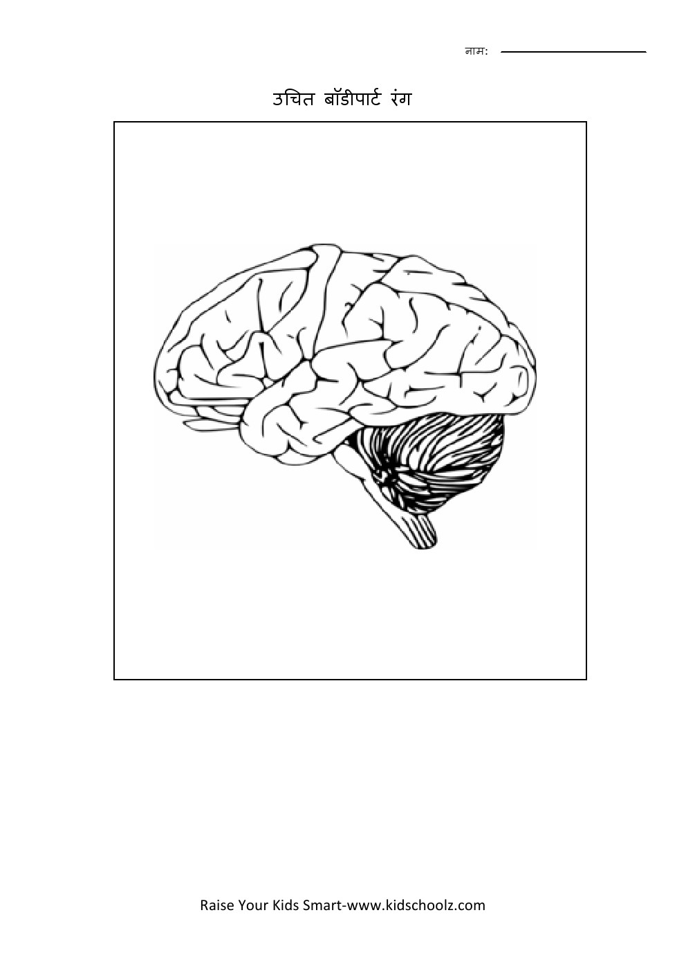 Hindi- Bodyparts Coloring Worksheet 3 - Kidschoolz
