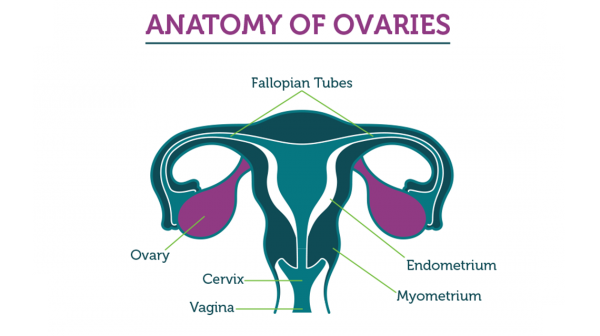 World Ovarian Cancer Day - Kidschoolz